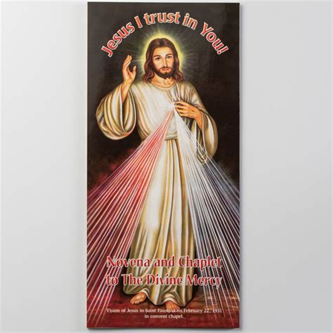 Divine Mercy Novena The Cathedral T Shop