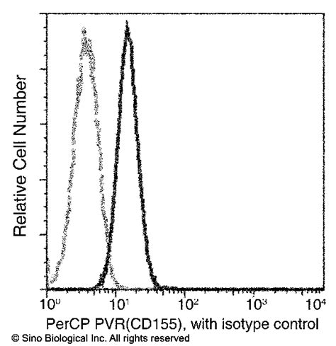 Recombinant Anti Cd155pvr Antibody Percp Rabbit Mab 50259 R305 C