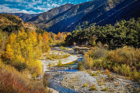 Riot On The San Gabriel River California Fall Color