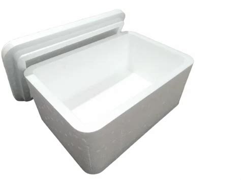 Thermocol Styrofoam Packaging Box Capacity 500 Grams 0 500 At ₹ 75