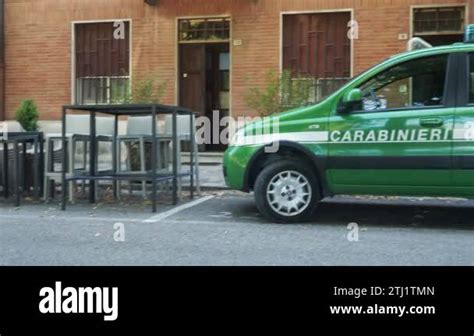 Panda Badge Stock Videos And Footage Hd And 4k Video Clips Alamy