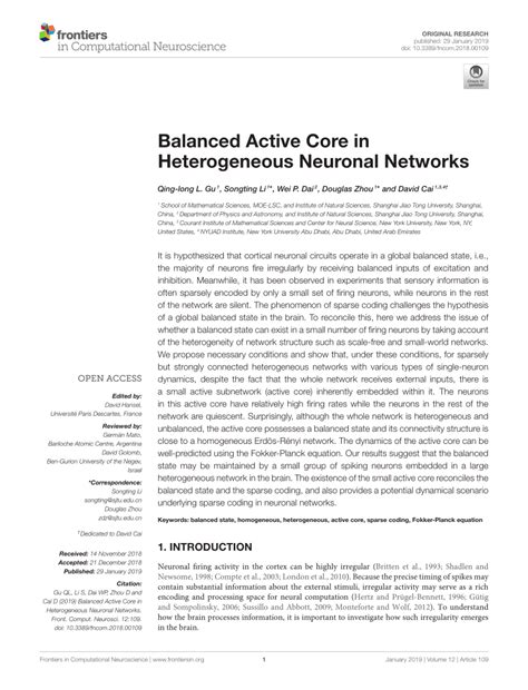 pdf balanced active core in heterogeneous neuronal networks