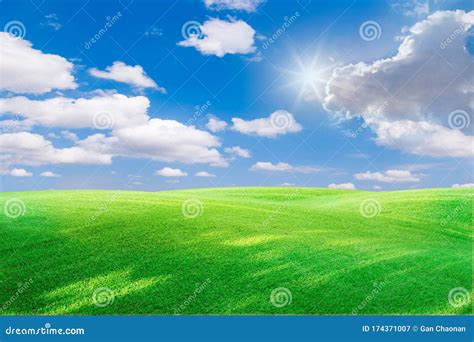 Green Field And Blue Sky With Light Cloudsimage Of Green Grass Field