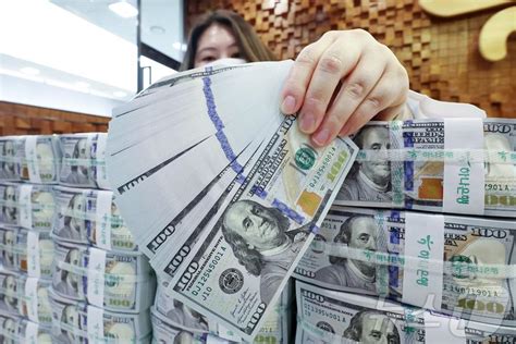 외환당국 작년 환율방어에 112억 달러 썼다 뉴스1