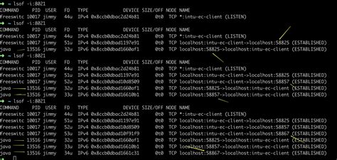 Freeswitch笔记4 Esl Inbound模式的重连及内存泄露问题 菩提树下的杨过 博客园