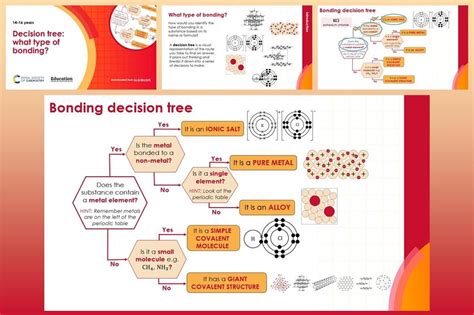 Decision Tree What Type Of Bonding 1416 Years Resource Rsc