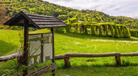 60 000 Euro Per I Roccoli In Lombardia Caccia Magazine