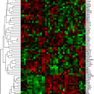 Unsupervised Cluster Analysis Of All The Analysed Genes And Samples Download Scientific