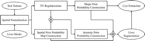 The Overview Of The Automated Segmentation Process The Segmentation