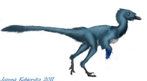 Troodon Feathers