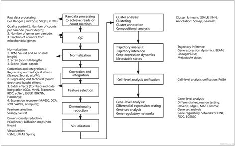 Scanpy 单细胞测序基因分析scanpy如何读取单细胞文件 Csdn博客