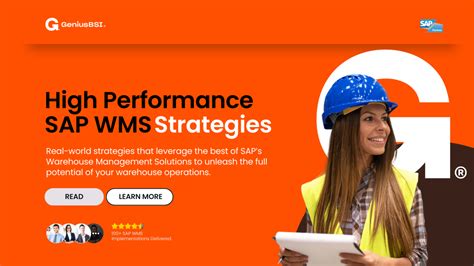 Sap Wms Strategies Clustered Putaway Rf Task Interleaving Fixed Bin Replenishment For