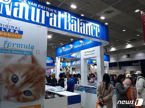 케이캣페어 17~19일 코엑스 개최냥냥이마켓 이벤트 진행 뉴스1