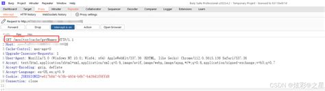 【漏洞复现】记一次攻防演练中的若依（thymeleaf 模板注入）getshell thymeleaf模板注入漏洞 csdn博客