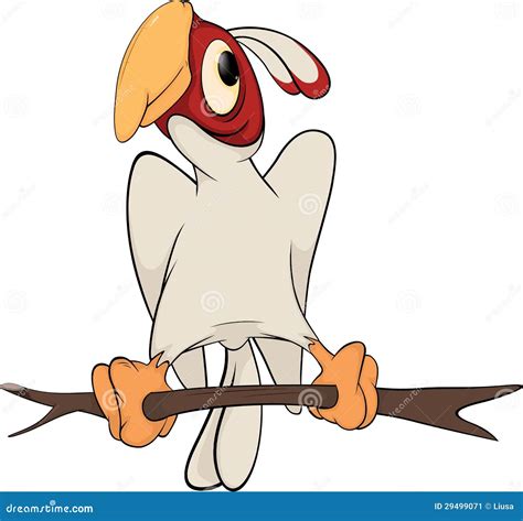 Parrot On A Tree Cartoon Stock Vector Illustration Of Wildlife