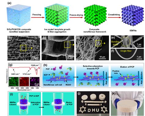 东华大学俞建勇院士、丁彬研究员团队在蛋白质吸附分离用纳米纤维材料研究领域取得最新研究成果 中国聚合物网科教新闻