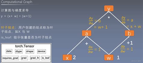 Pytorch框架学习路径四：计算图与动态图机制torch 查看计算图 Csdn博客