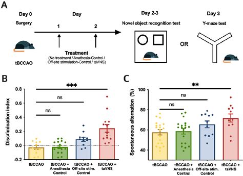 Figure 5 From Transcutaneous Auricular Vagus Nerve Stimulation Enhances Cerebrospinal Fluid