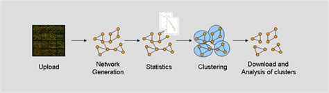 Identification Of Functional Modules From Gene Expression Data In The Download Scientific