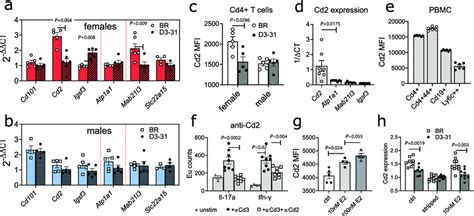 D3 31 Mice Show Sex Specific Differences In Cd2 Expression A B