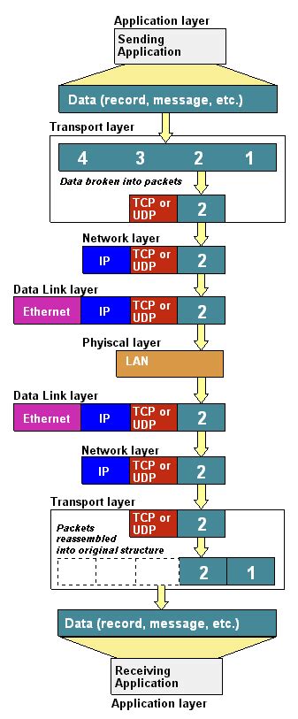 Ip Protocol Stack