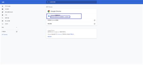chromedriver的安装 guangyuu 博客园