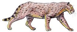Dinofelis Wikipedia La Enciclopedia Libre