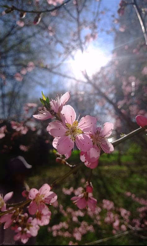 Otgonjargal Намрын сэрүүхэн өдөр аж Эрхэм хүндэт нүүр номын найзууд дулаахан яваарай Дашням