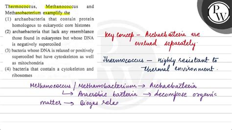 Thermococcus Methanococcus And Methanobacterium Examplify The Youtube