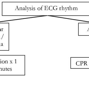 Example Of A Rule Based Algorithm In Connection With CPR Download Scientific Diagram
