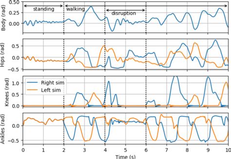 Figure 13 From Simulation Of Spinal Muscle Control In Human Gait Using Opensim Semantic Scholar