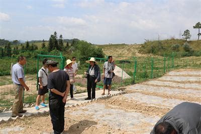 硯山縣牧草種質資源圃初步建成 每日頭條