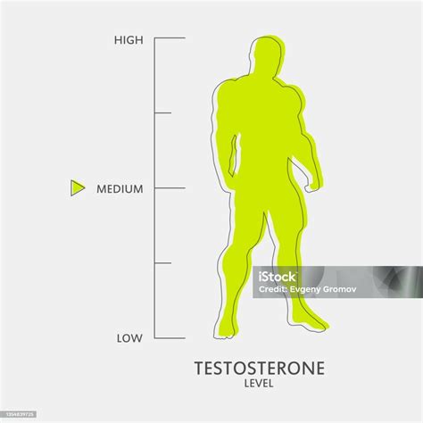 Hormone Testosterone Level Measuring Scale With Muscular Man Silhouette