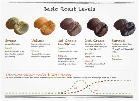 Different Coffee Roasts Explained Mariam Lafleur