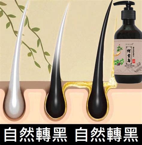 【白髮變黑髮】何首烏洗髮水 何首烏洗髮乳 養護洗髮露 護髮乳 頭皮保養洗髮精 何首烏中草藥洗髮精 草本滋養防脫300ml 露天市集 全