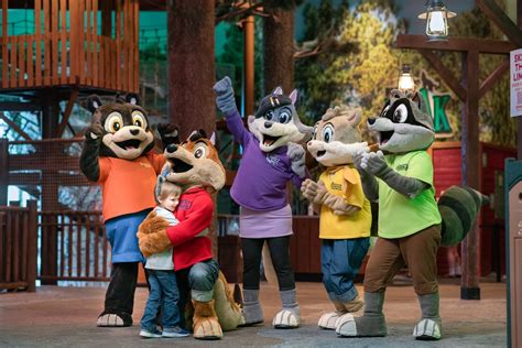 Character Appearances Events Great Wolf Lodge Houston Webster Tx