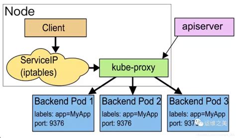 Kubernetes 的网络原理 总结 K8s的网络详解kubernetes网络原理 Csdn博客