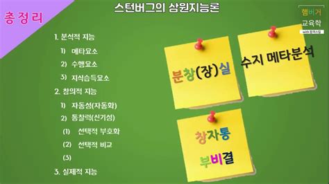 햄버거 교육학 스턴버그의 삼원지능이론 Youtube