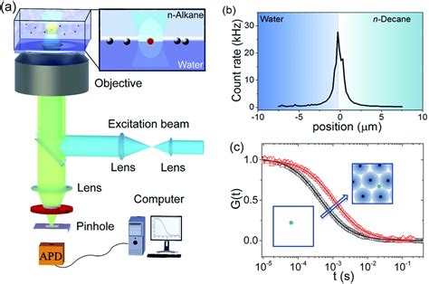 A Multiscale Approach To The Adsorption Of Coreshell Nanoparticles At