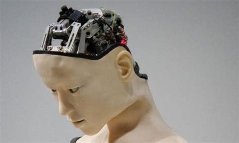 Piensa adquirir un robot sexual Estos son los daños que podrían causar Tecnovery