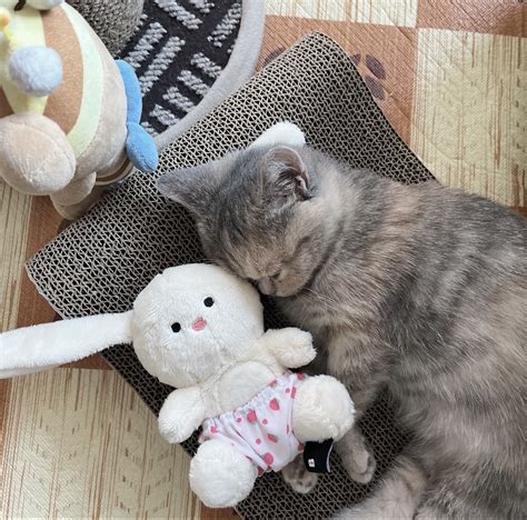 Nodejs Nodejs 설치 Repl모드 Js파일 모드 사용해보기