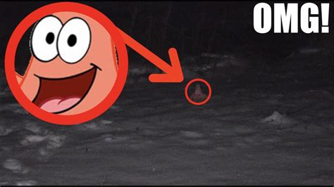 Real Life Patrick And Spongebob