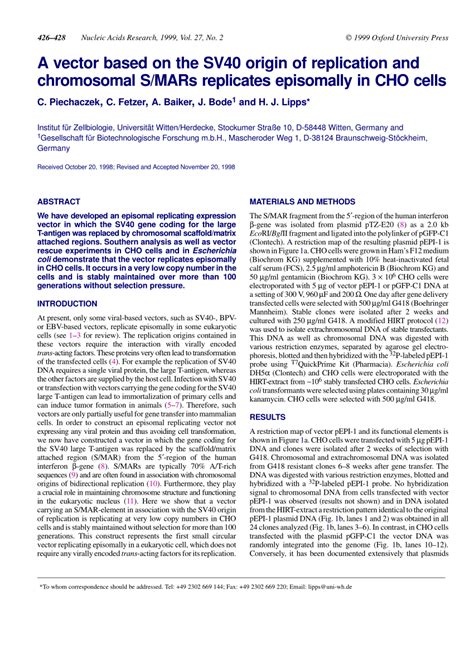 Pdf A Vector Based On The Sv40 Origin Of Replication And Chromosomal