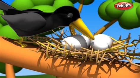 دانلود کارتون آموزش زبان انگلیسی برای کودکان آموزشگاه زبان ملل شعبه نبرد نماشا