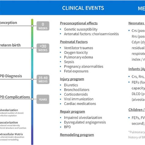 Components Of A Disease Progression Model For Use In Drug Development