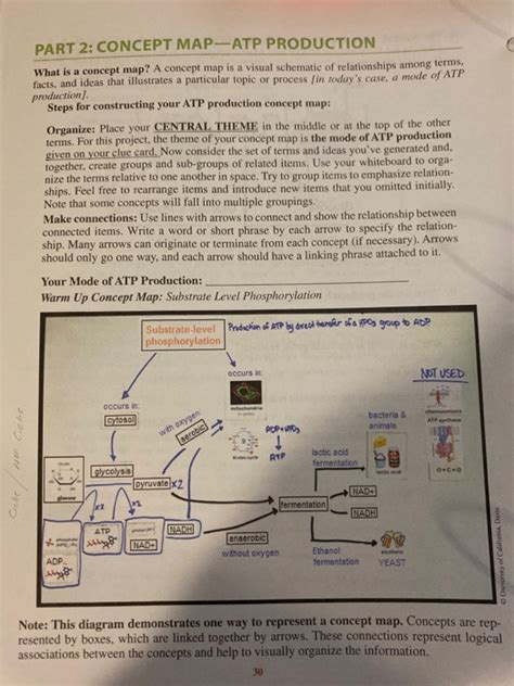 Part 2 Concept Map Atp Production What Is A Concept