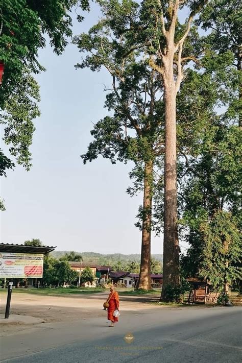 วันนี้วันออกพรรษา วันออกพรรษา หรือเรียกอีกอย่างหนึ่งว่า วันมหาปวารณา เป็นวันสำคัญทางศาสนา