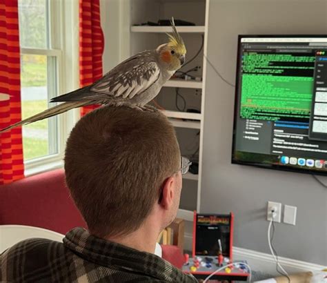 Fun Matlab Central Discussions