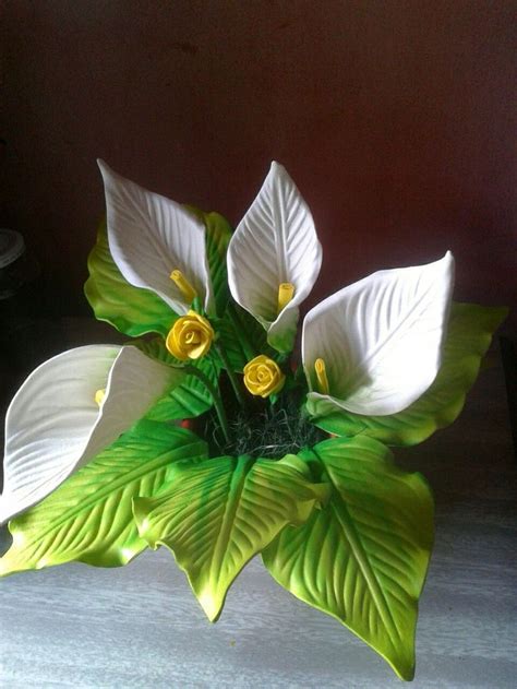 Fotos Em Copo De Leite Plant Leaves Plants Garden