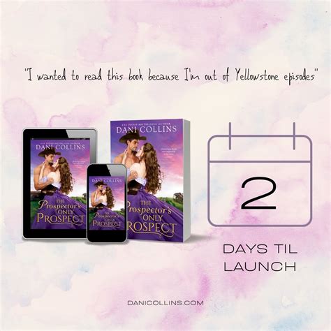 Countdown Snippet 2 ~ The Prospectors Only Prospect Dani Collins